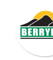 Berry Hill Foods