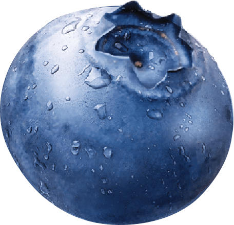 Cultivated Blueberries | BerryHill Foods Inc.