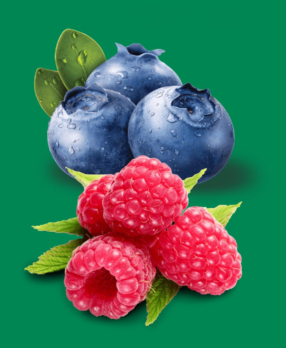 Quality Assurance | BerryHill Foods Inc.